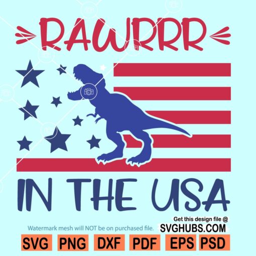 Rawr in the USA svg, Red White and Rawr Svg, Boy 4th of July Svg