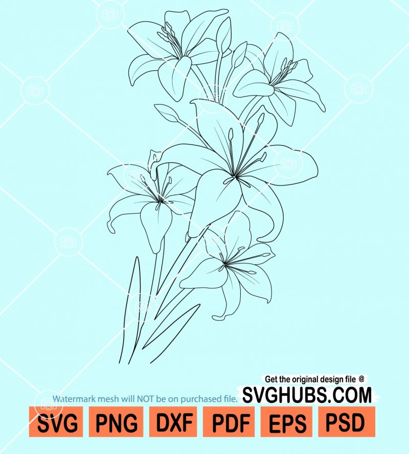 Lily flower svg, lily svg, lilium flower svg, Floral Svg, beautiful ...