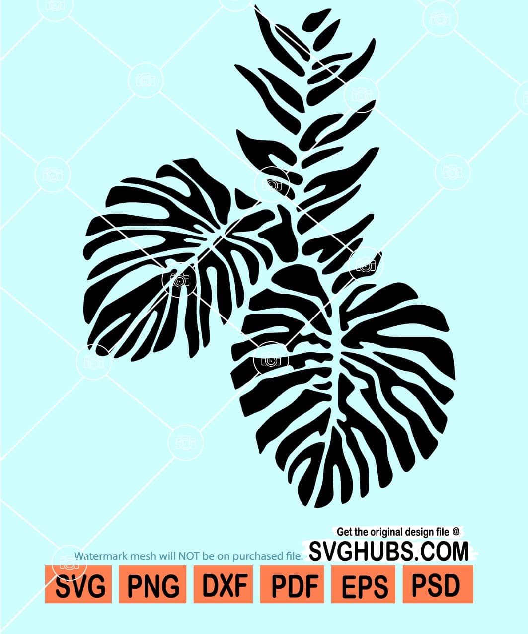 Stencil monstera svg, Monstera Plant Svg, plant Drawing svg, Feminine ...
