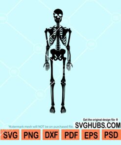 Human skeleton graphic svg - SVG HUBS