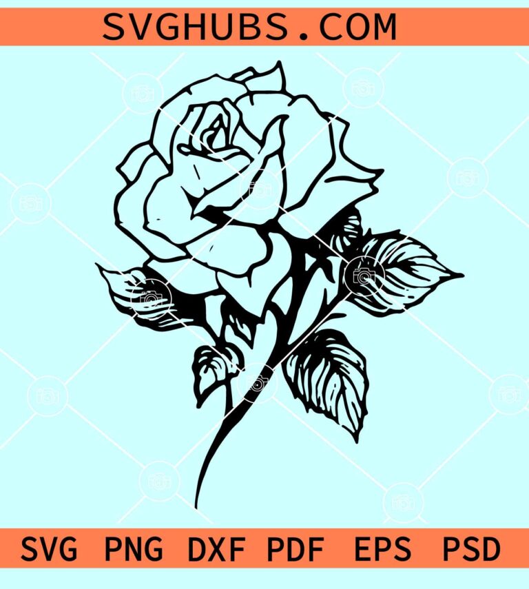 Single Rose SVG, Rose flower svg, Rose svg, Flower svg